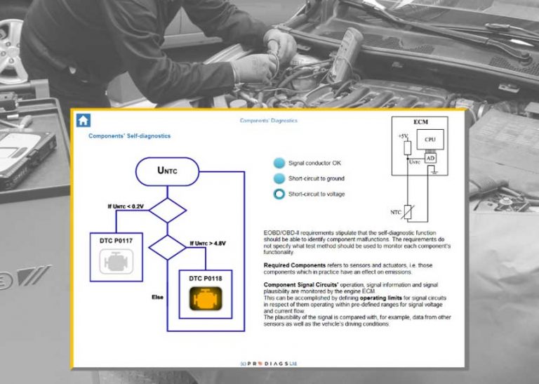 Online Training - EOBD/OBD-II Self-Diagnostics | Prodiags